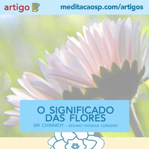 O significado espiritual das flores - Aulas de meditação e ...